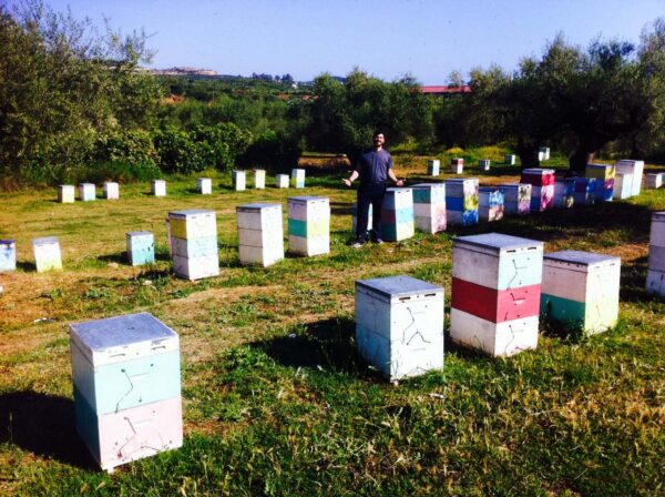 ΝΕΑ ΠΑΡΑΓΩΓΗ ΜΕΛΙ ΠΟΡΤΟΚΑΛΙΑΣ | Μελισσοκομία Χελμός